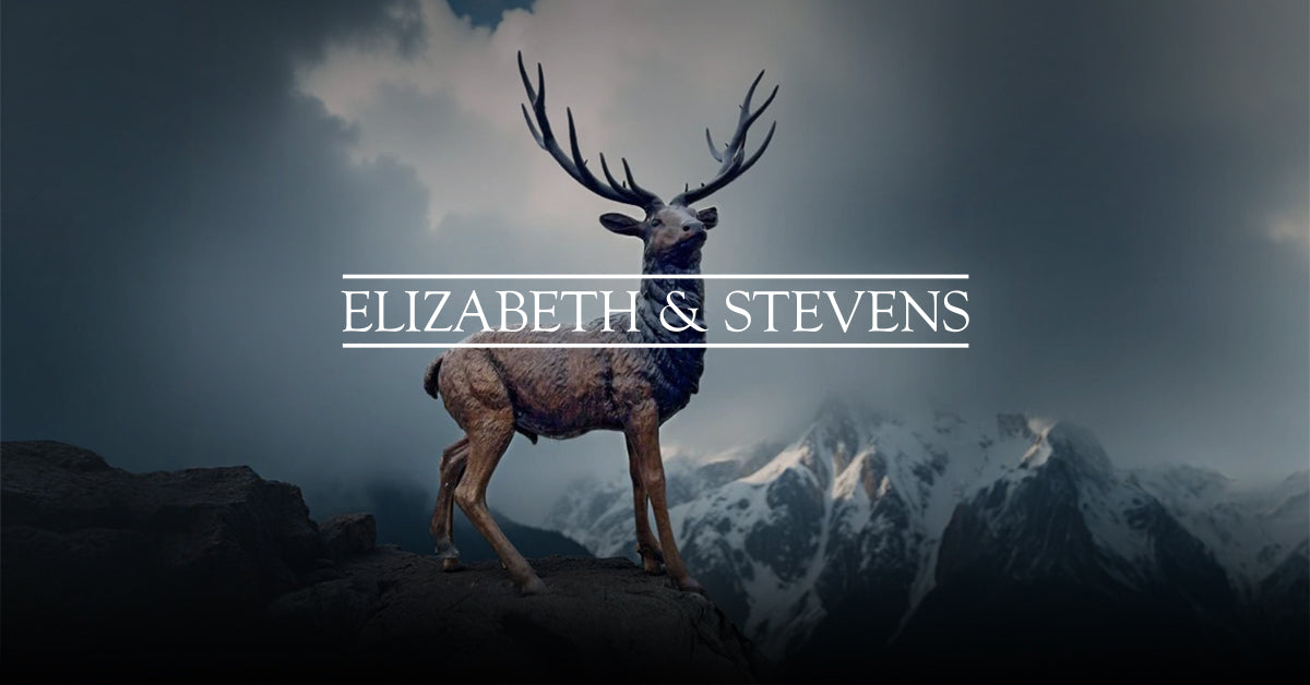 ELIZABETH AND STEVENS
